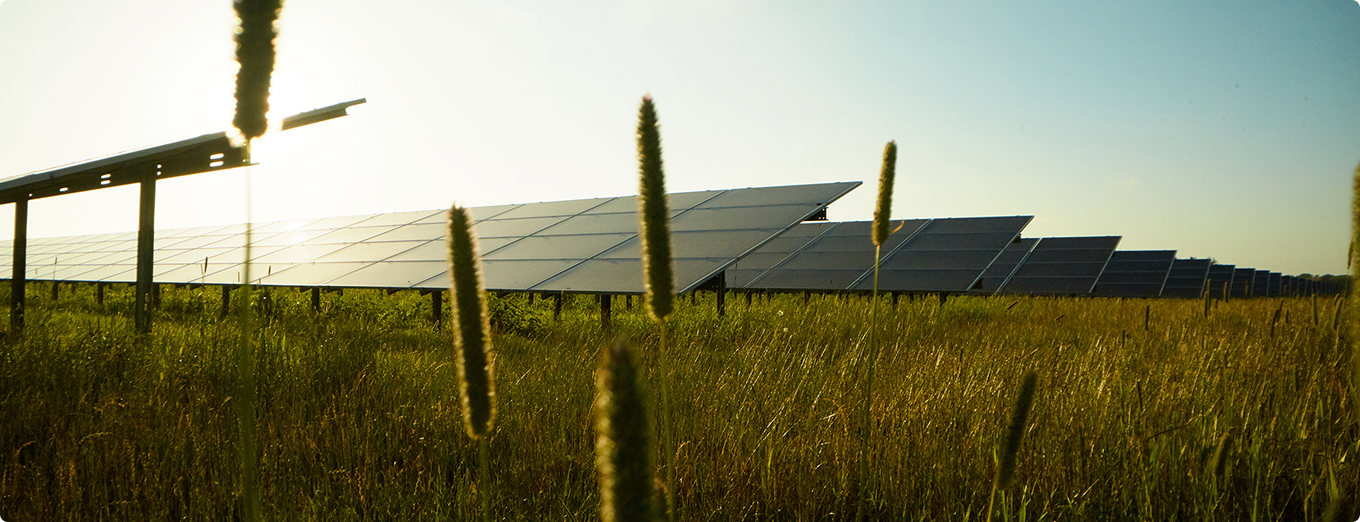 Annual Reports | Toms Group