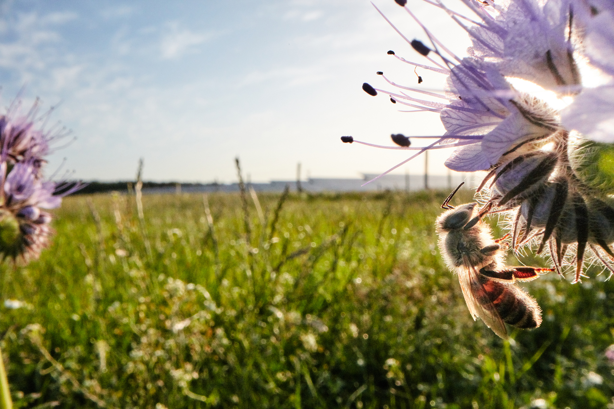 Careers at Toms Group